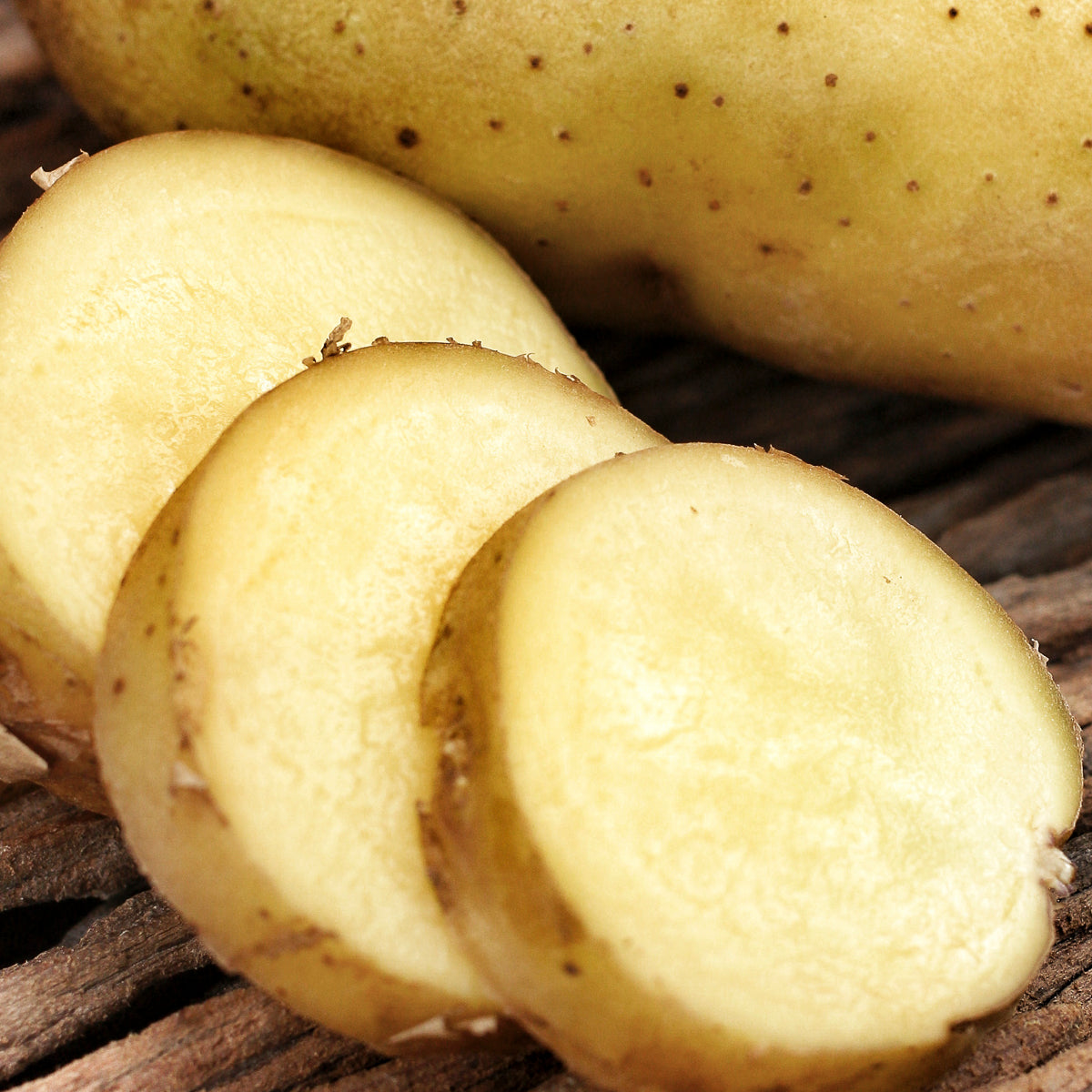 Potato - White Superior - USDA Organic - GMO Free – Plantcetera